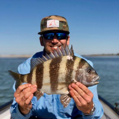 Sheepshead – Fly Fish Rockport