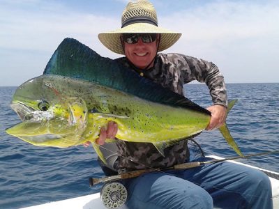 Mahi Mahi – Fly Fish Rockport