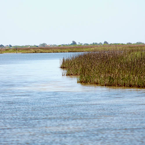 Copano Bay – Fly Fish Rockport